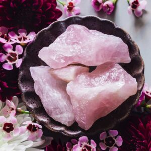 Rose Quartz - The Crystal of A Gentle Heart - Moon Omens
