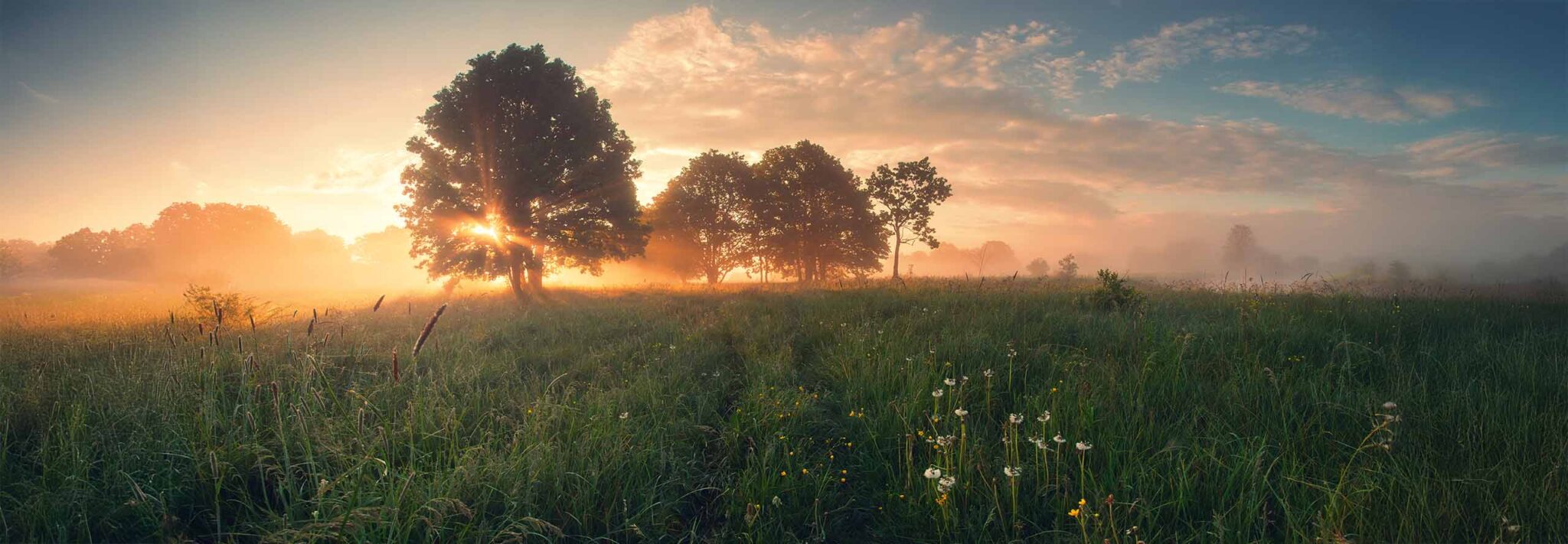 February 2026 Astrology Forecast: Threshold of a New Era - Moon Omens